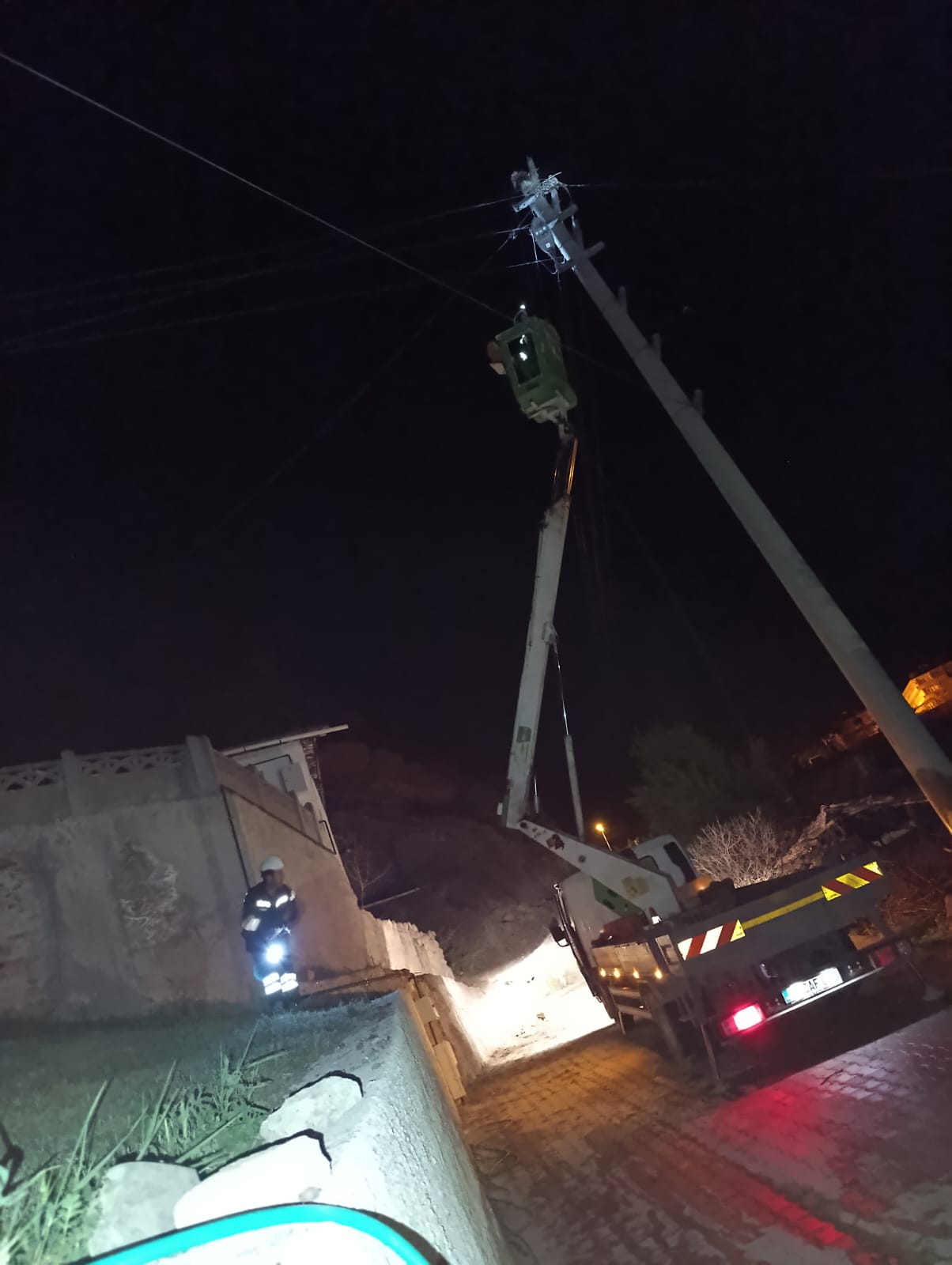 Yangın çıkan leylek yuvası kullanılamaz hale geldi - Vitrin Haber ...